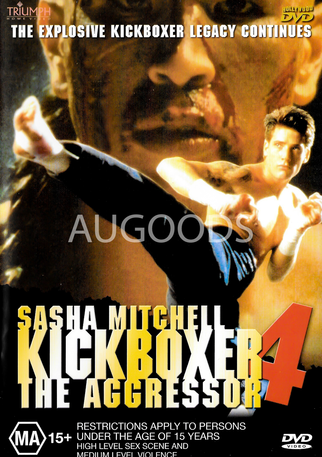 Kickboxer 4